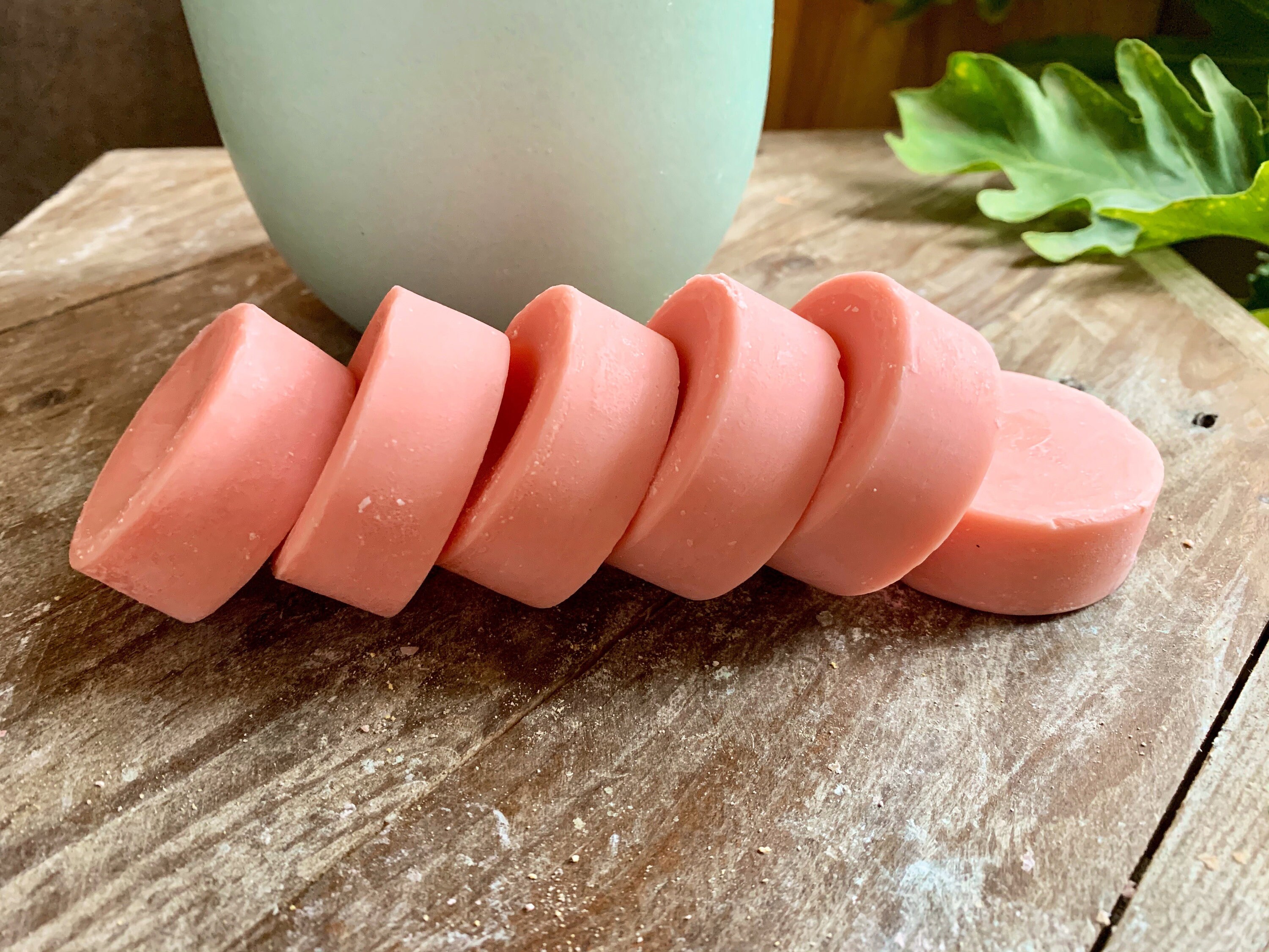Aloha Conditioner Bar | Etsy