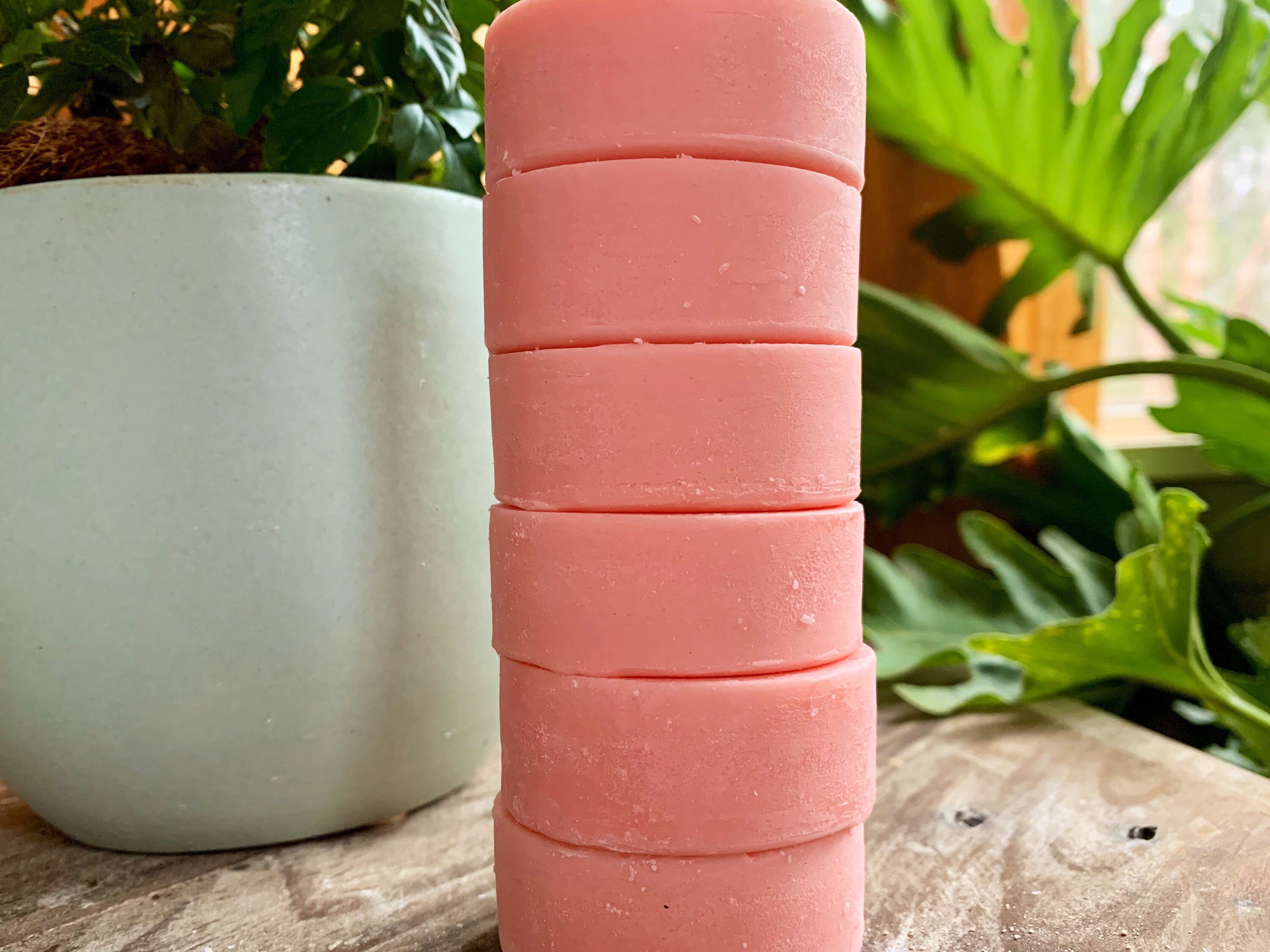 Aloha Conditioner Bar | Etsy