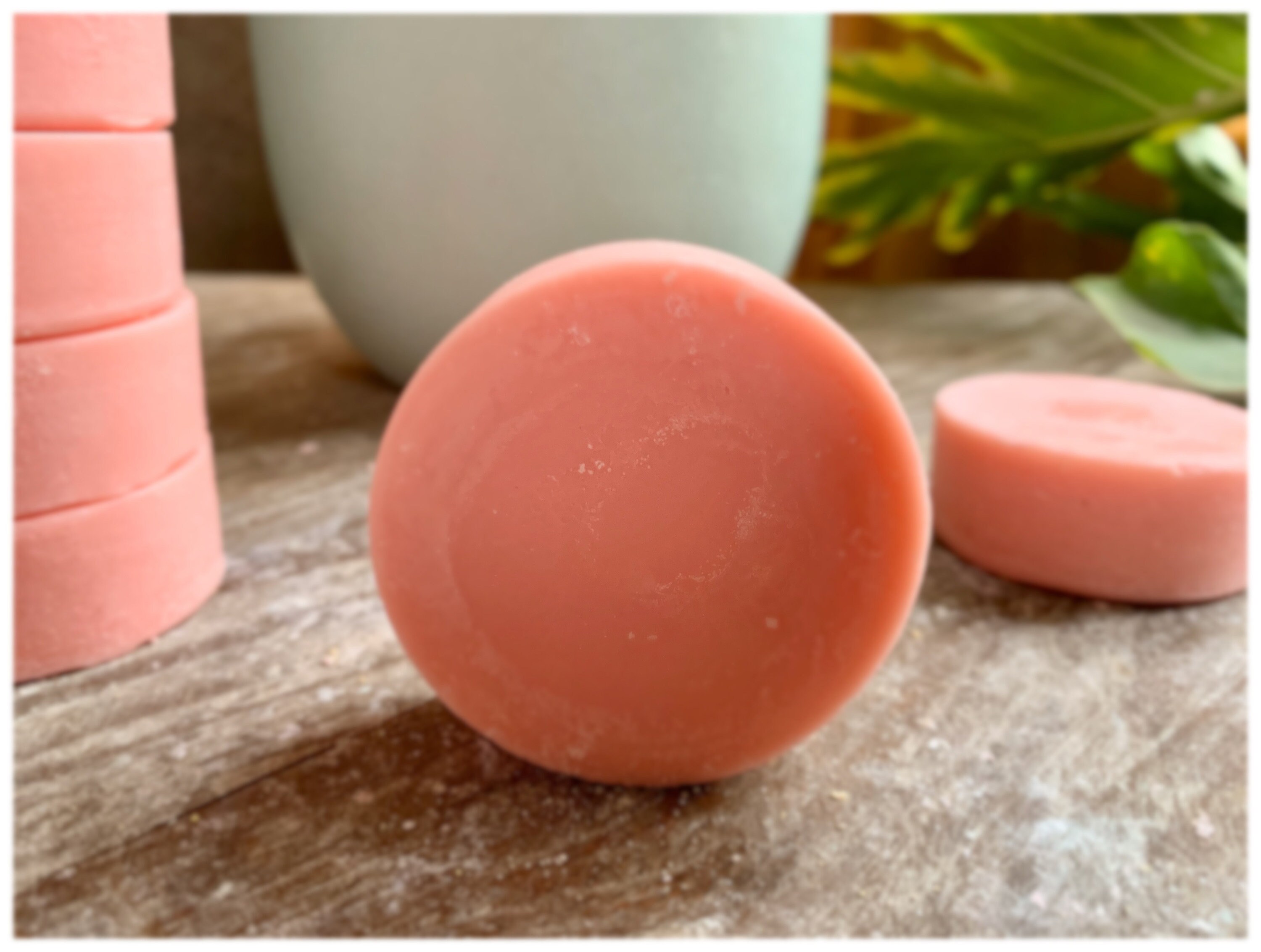 Aloha Conditioner Bar | Etsy