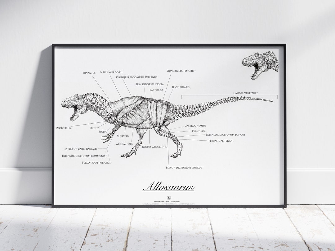 Allosaurus Anatomy Art Print - Etsy
