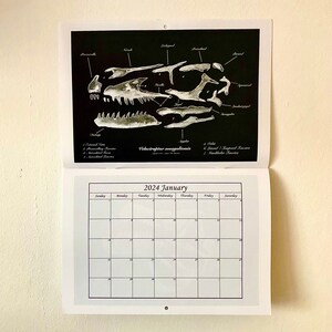 DINO CALENDAR 2024 // Dinosaur Skull Anatomy // Jurassic Park ...