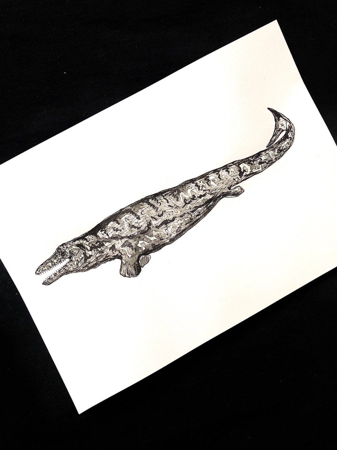 Original Mosasaur Ink Illustration // Dinosaur Drawing - Etsy