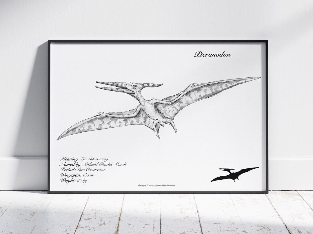 Pteranodon Datasheet Art Print - Etsy