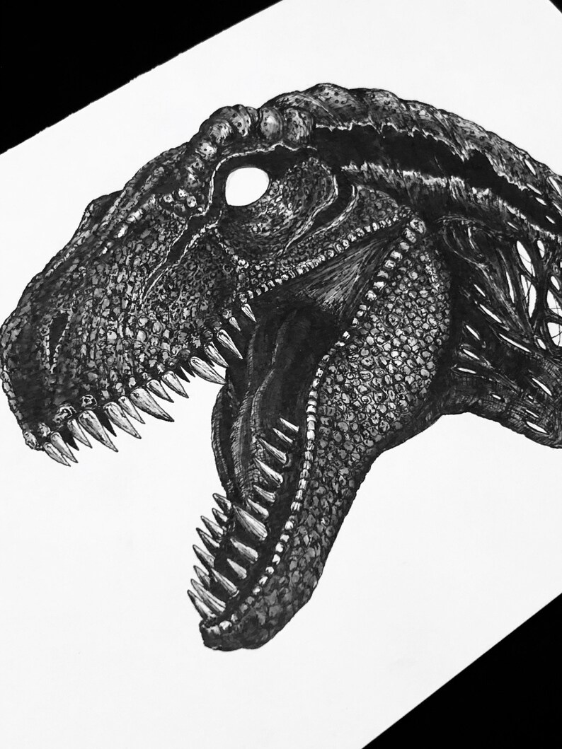 Original Raptor Illustration // Dinosaur Ink Drawing - Etsy