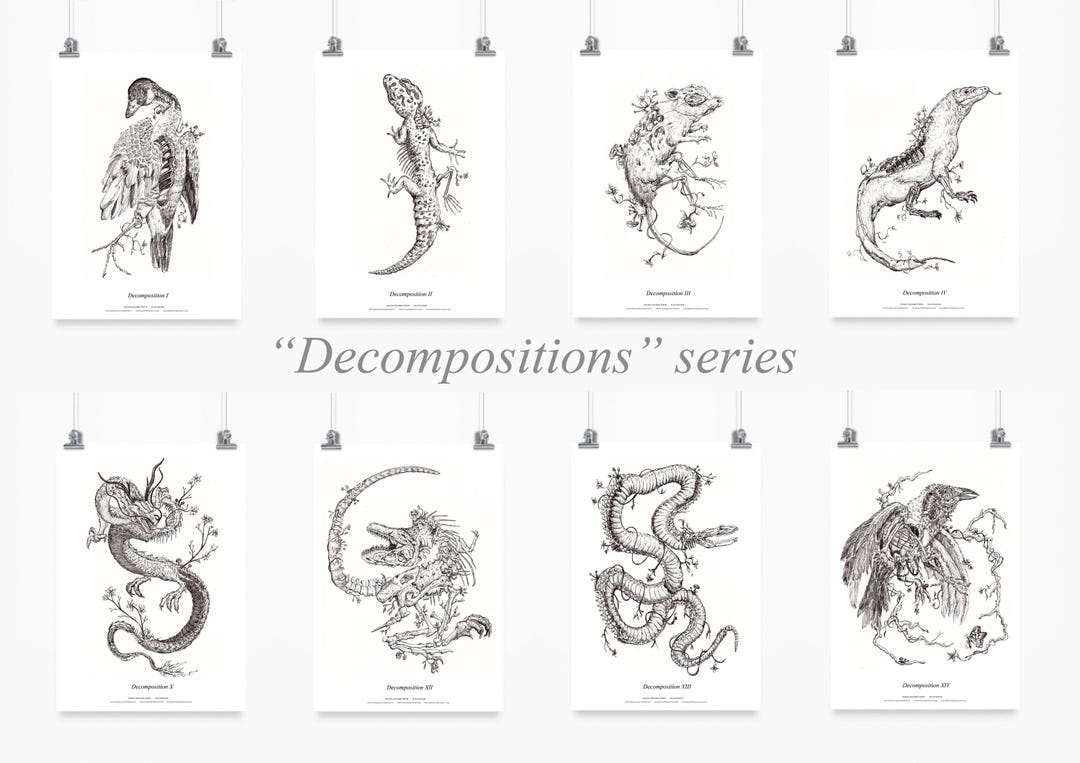 Decomposition Series - Fine Art Prints - Etsy
