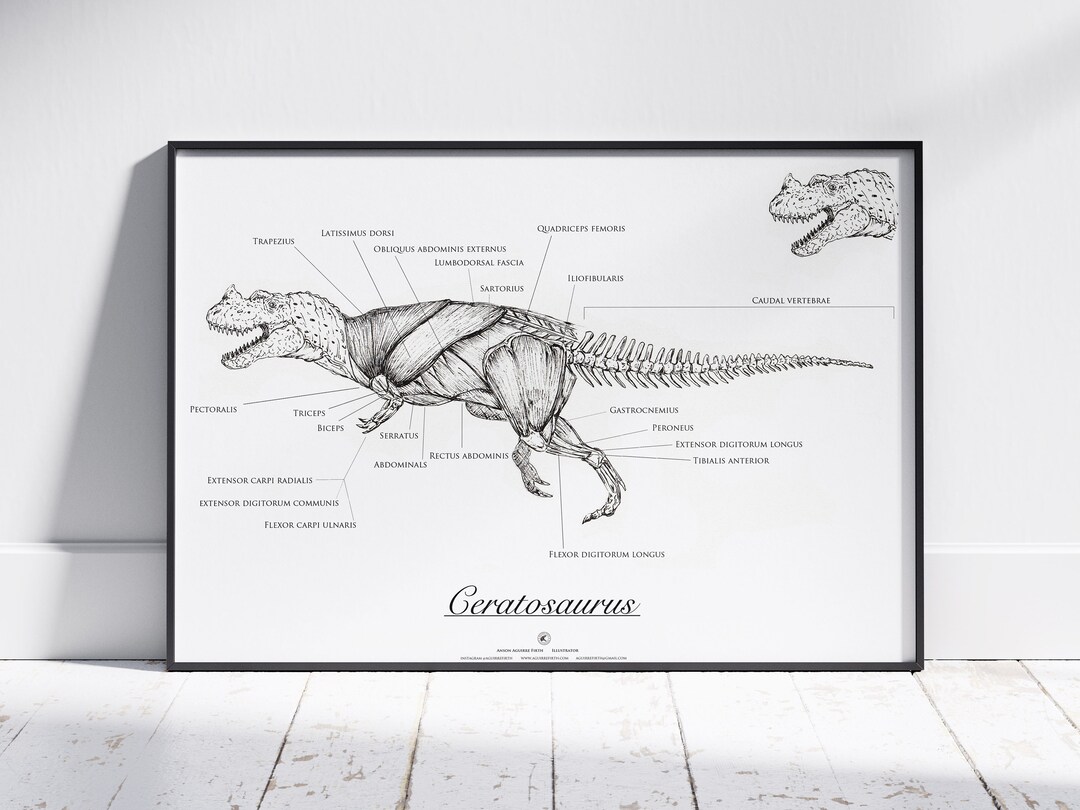 Ceratosaurus Anatomy Art Print - Etsy