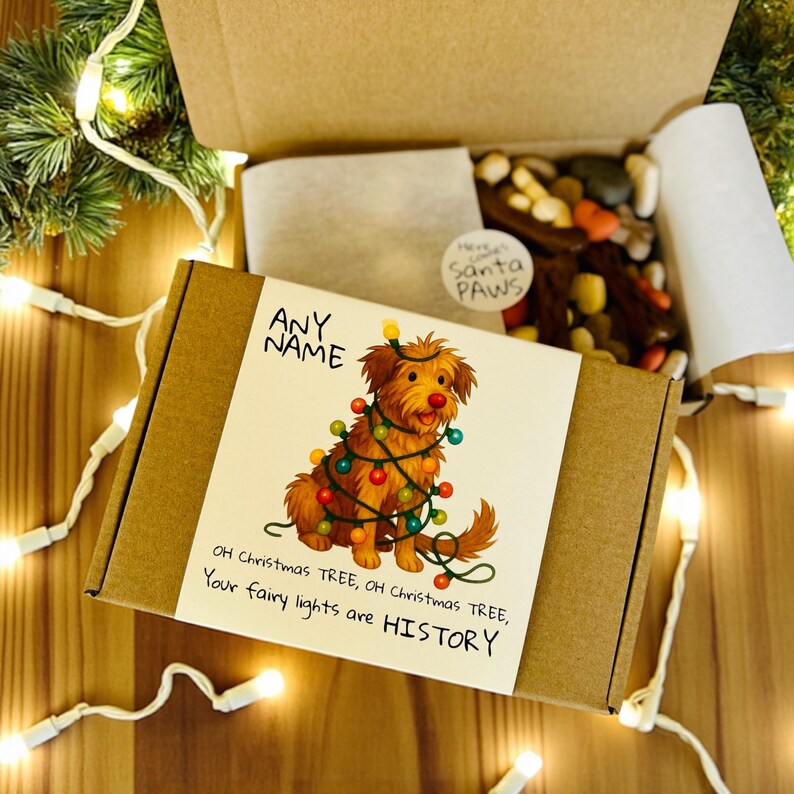 Handmade Personalized Dog Christmas Treat Box – Custom Holiday Treats ...