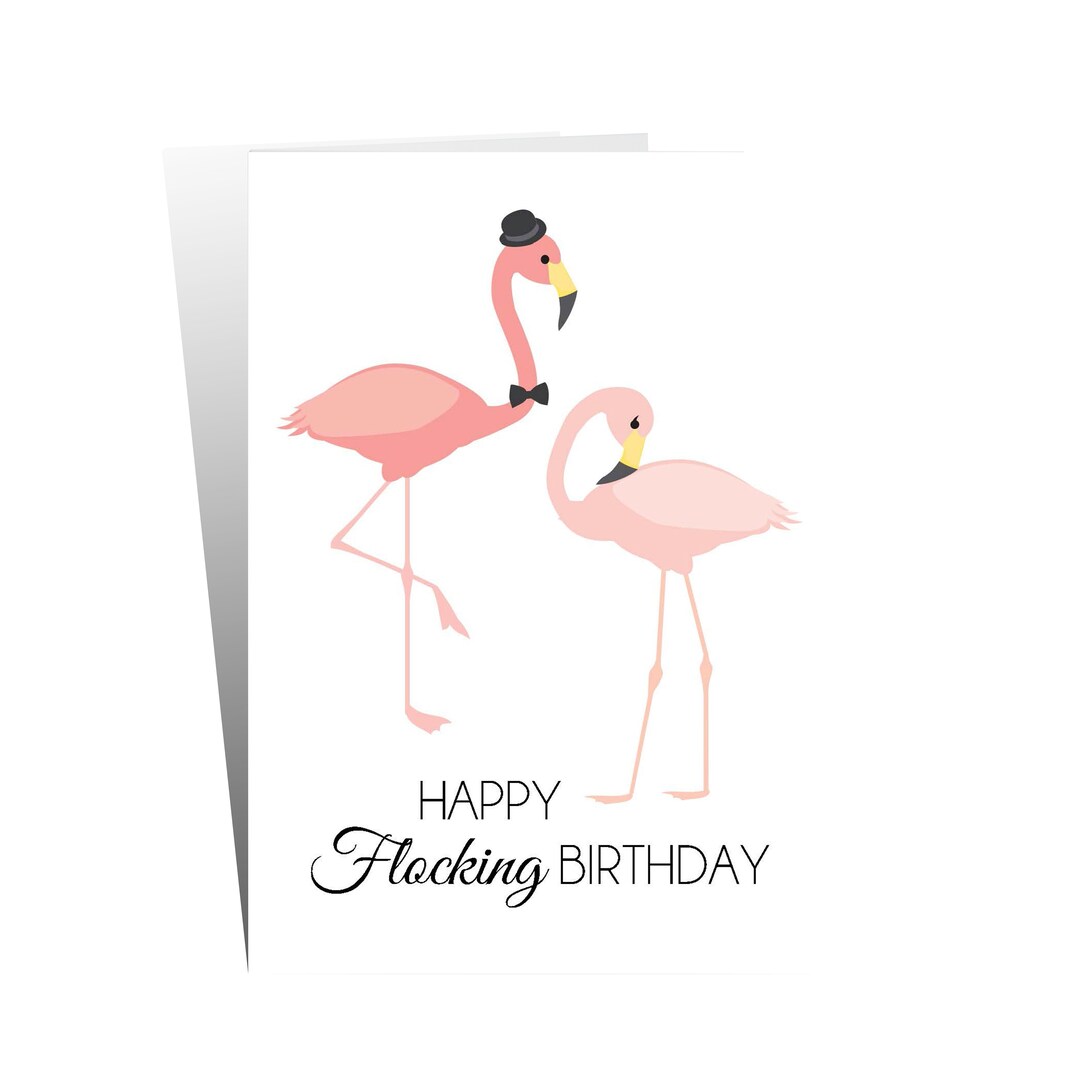 Funny Birthday Card. Greetings Card. Rude Card. Flamingo Card - Etsy