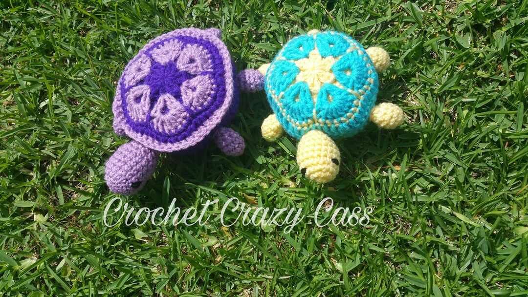 African Hexagon Turtles - Etsy