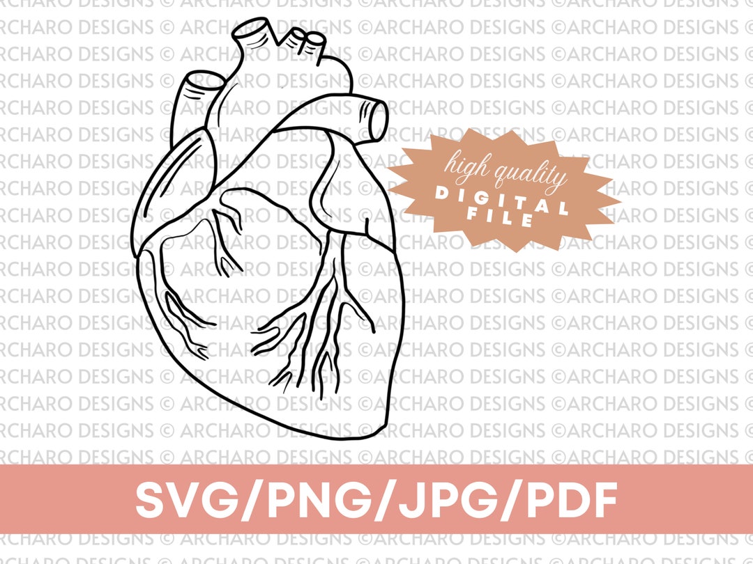 Anatomic Heart Medical SVG File, Cardiology Nurse SVG Cut File, Png Jpg ...