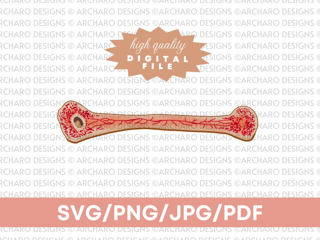 Bone Marrow BMT SVG File, Oncology Nurse SVG Cut File, Png Jpg Pdf ...