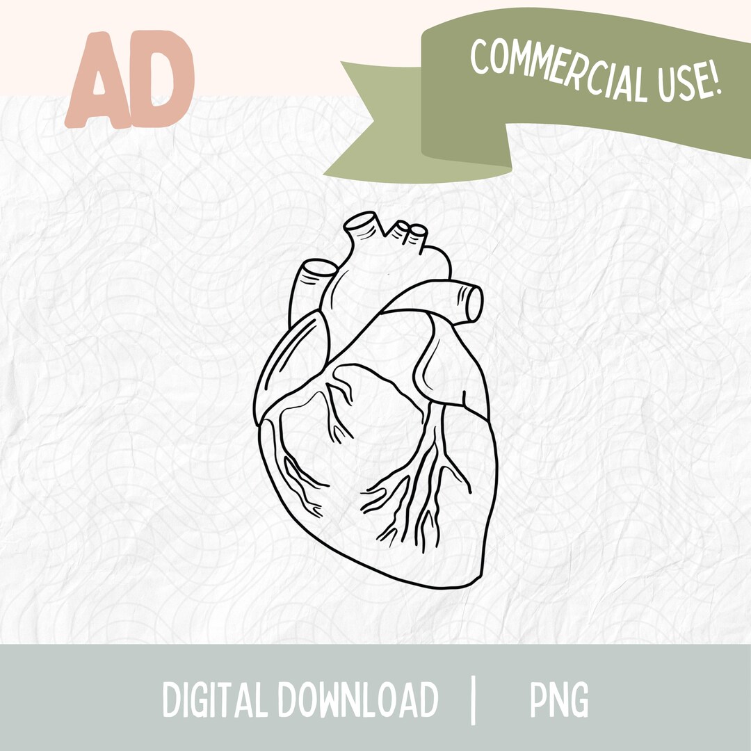 Anatomic Heart Medical SVG File, Cardiology Nurse SVG Cut File, Png Jpg ...