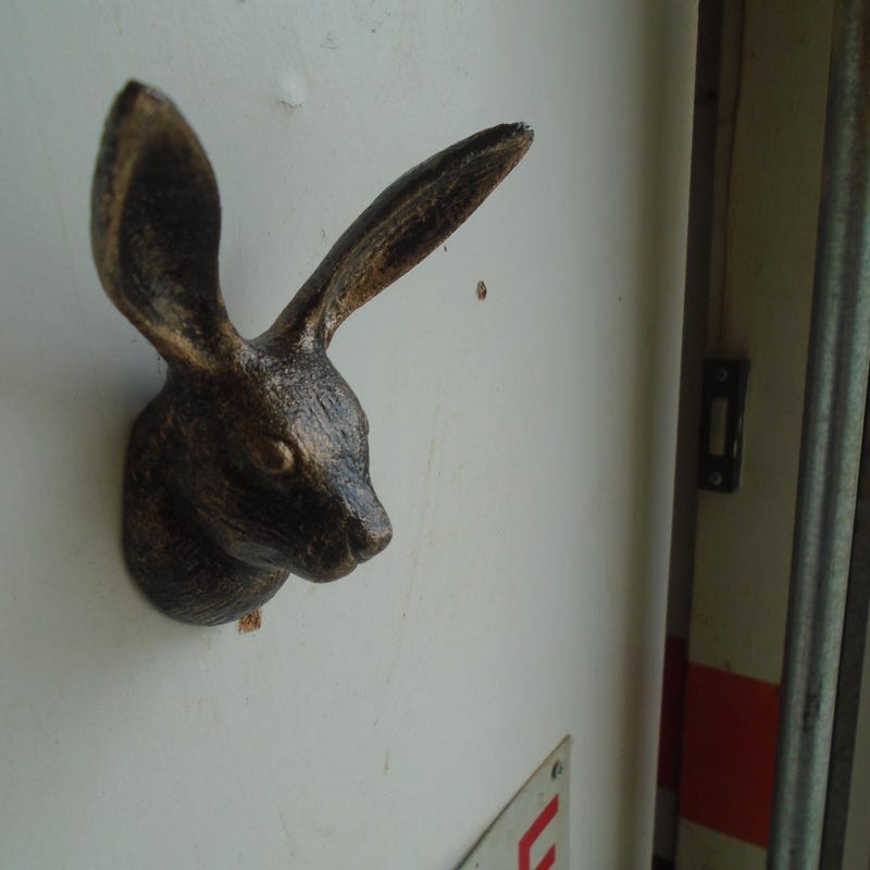 Rabbit Bust - Etsy