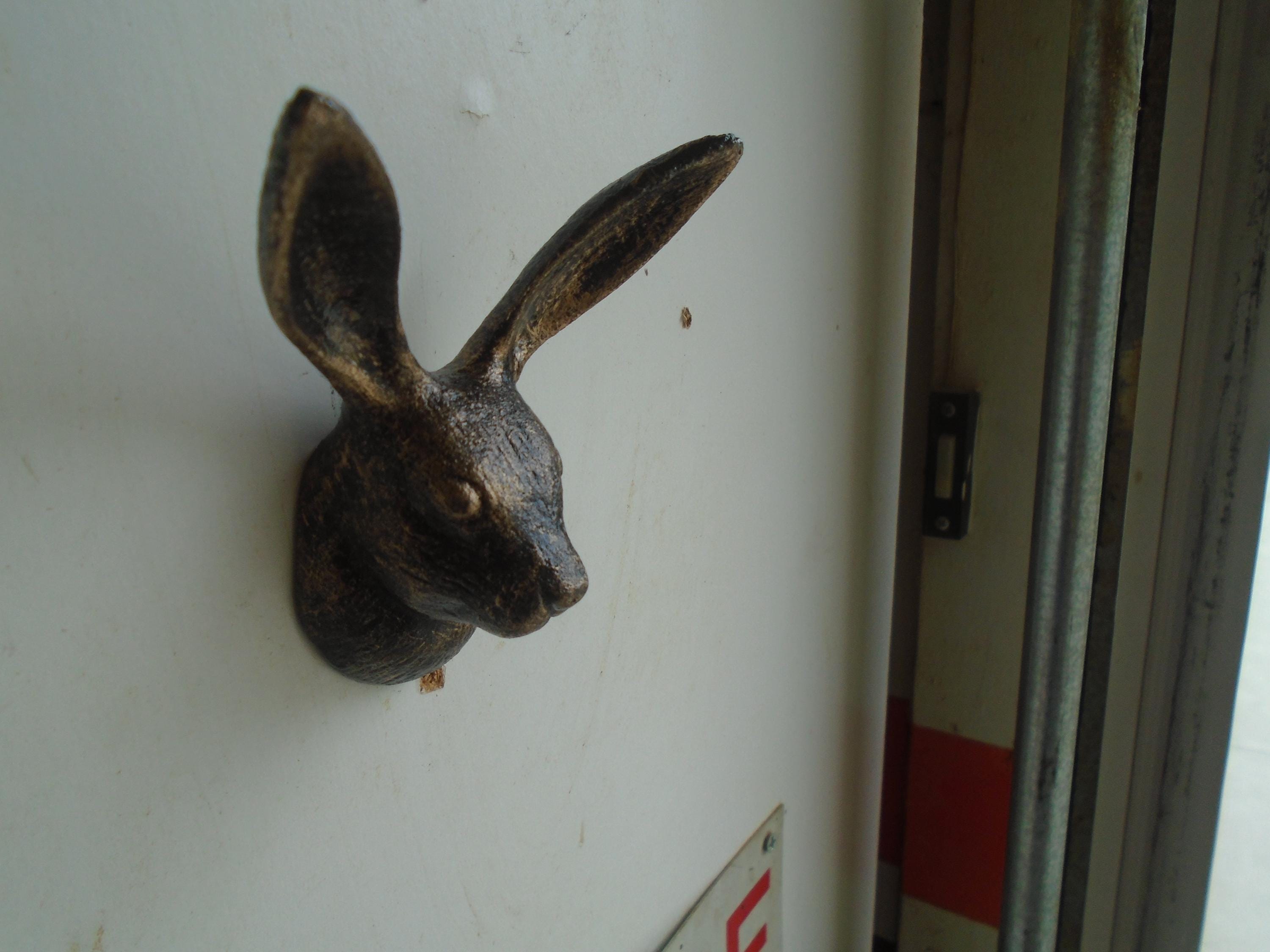 Wall Mount Rabbit, Bronze Color Rabbit, Rabbit Head, Wall Mounted, Gift ...