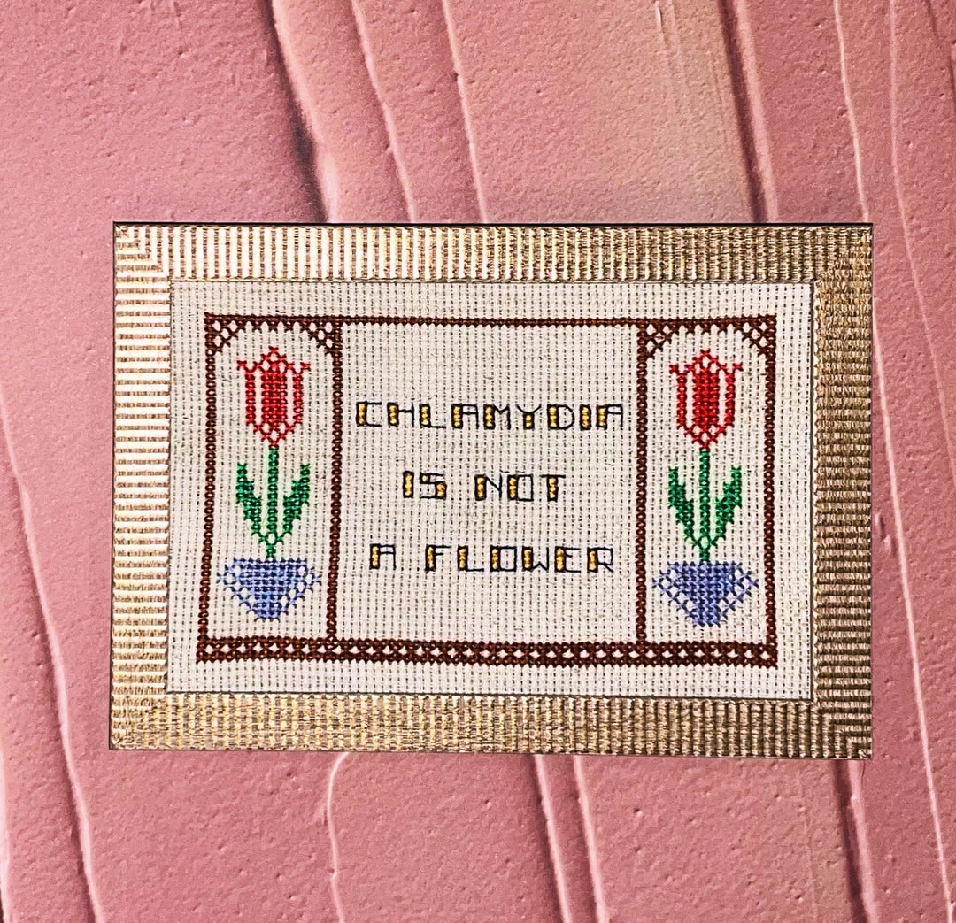 Chlamydia is Not a Flower. Finished and Framed Cross Stitch. - Etsy