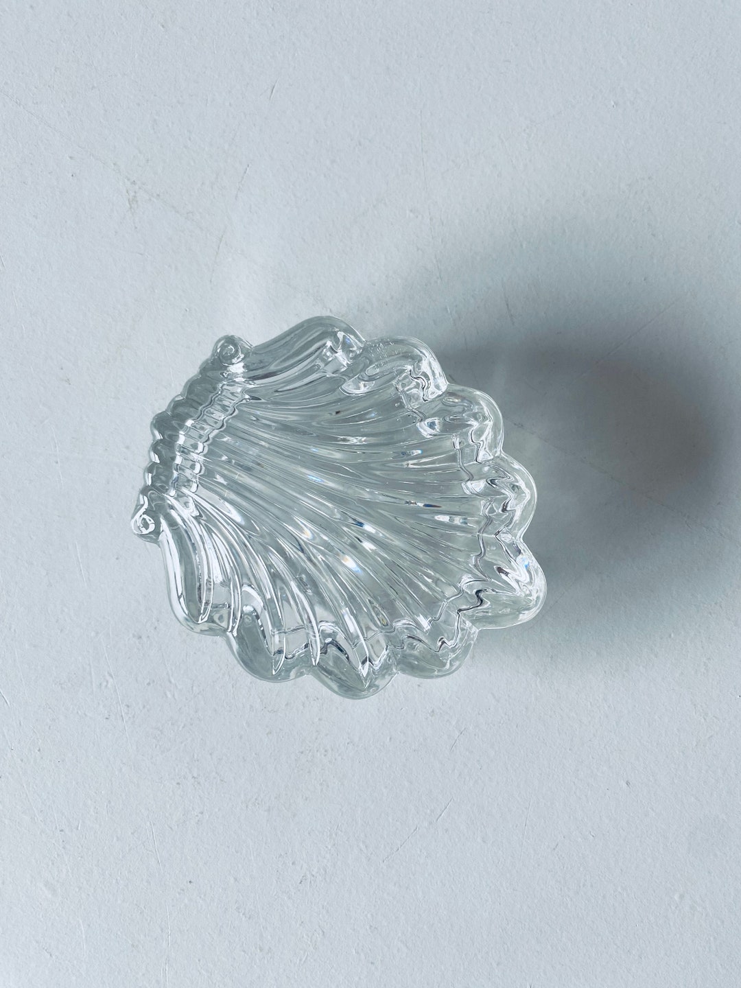 Shell-shaped Glass Box - Etsy