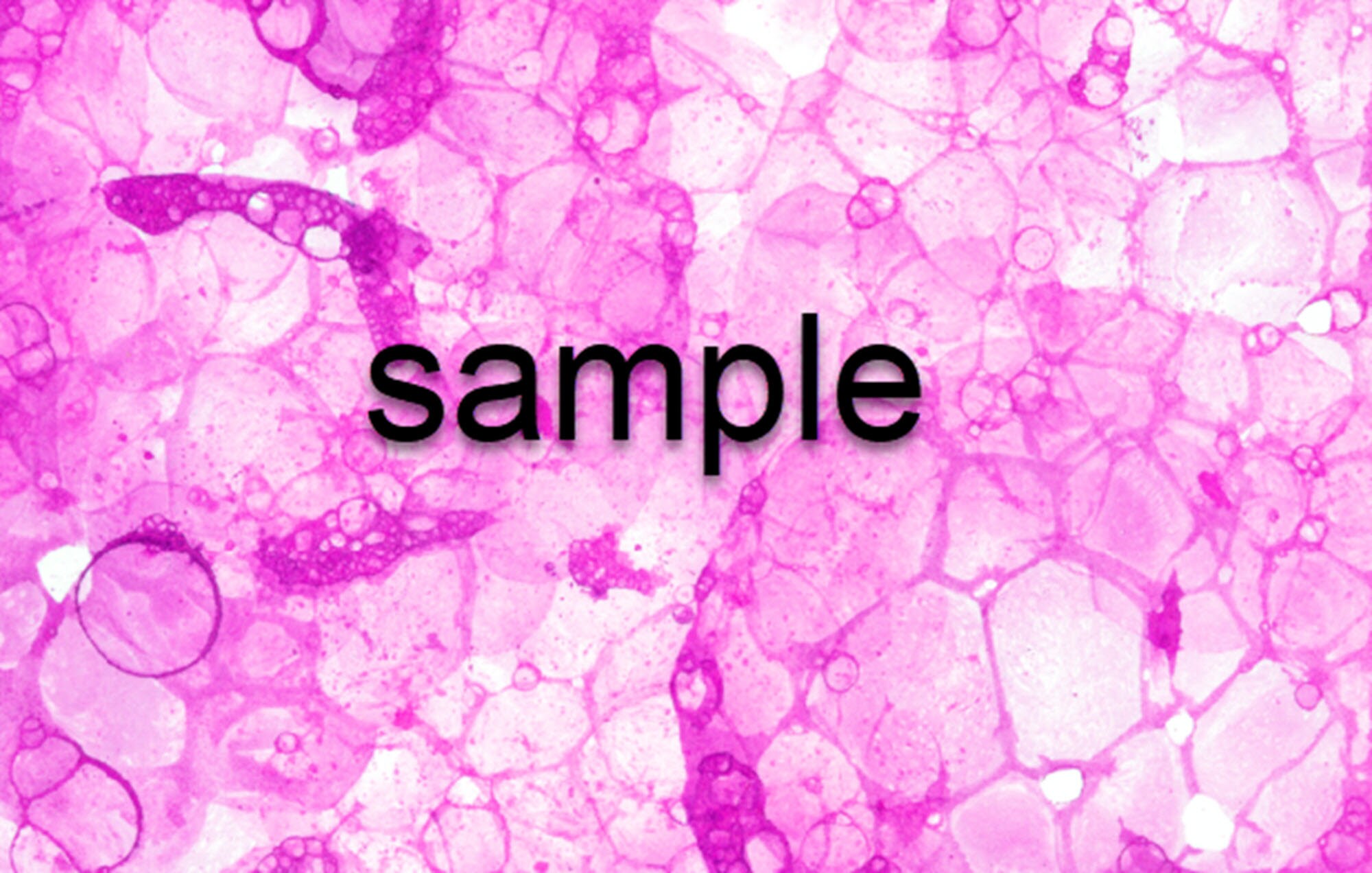 27 Multi-color Bubble Digital Download Textures to Use With Sublimation ...