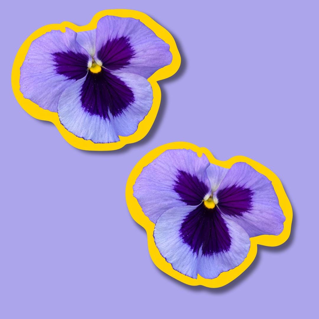 Purple Pansy Sticker| 3 Inch | Vinyl | |round Sticker | Sticker for Fun ...