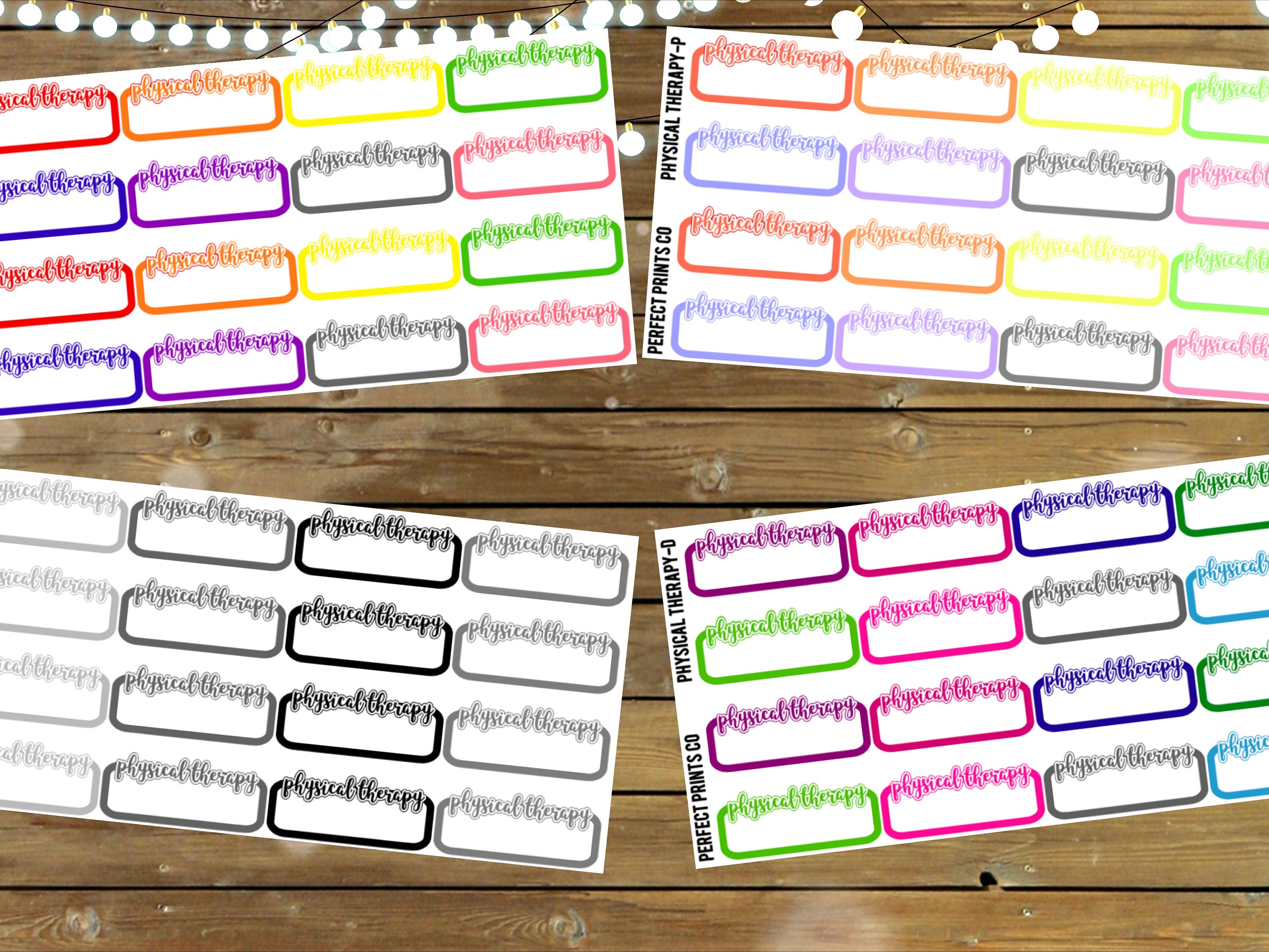 Physical Therapy Planner Stickers for Use With Erin Condren | Etsy