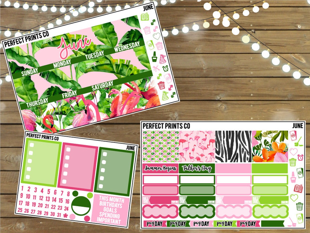 June Monthly View Kit for Use in Erin Condren and Happy Planner - Etsy