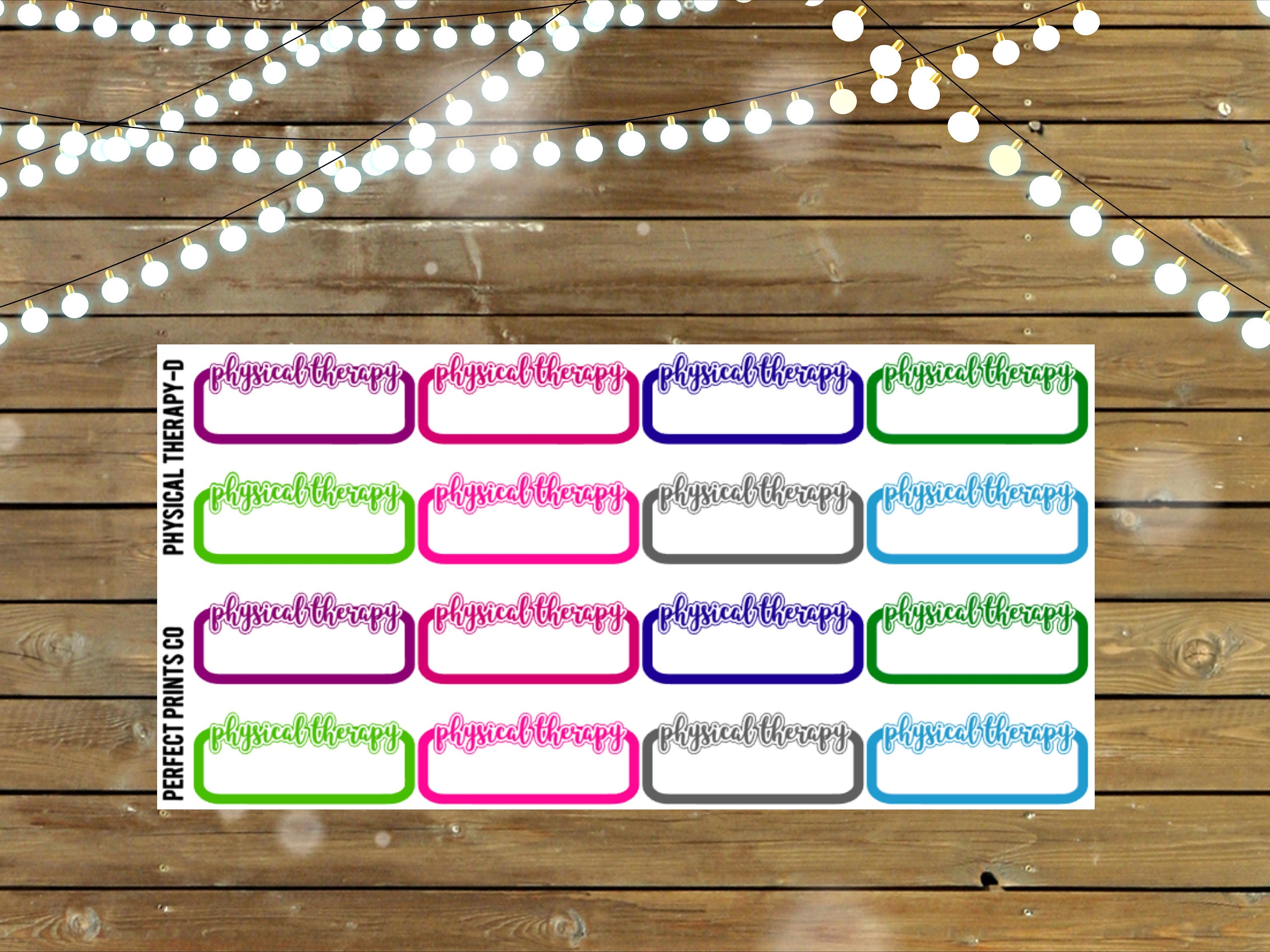 Physical Therapy Planner Stickers for Use With Erin Condren | Etsy