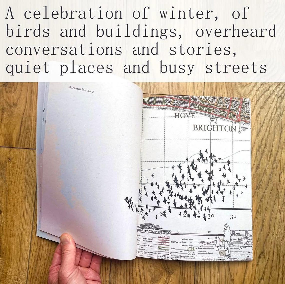 It Started With the Starlings - "love This Book Very Much… It’s Very ...