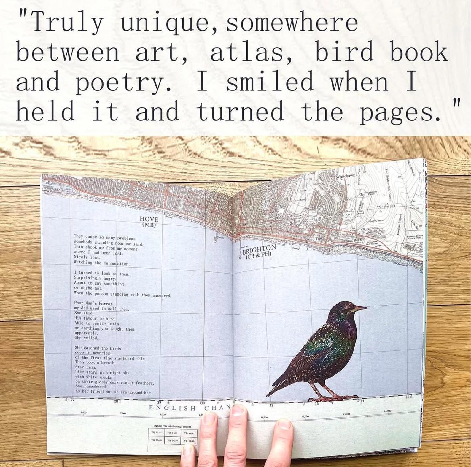 It Started With the Starlings - "love This Book Very Much… It’s Very ...