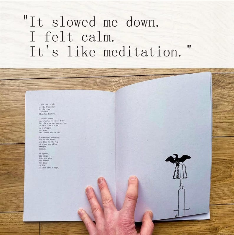 It Started With the Starlings - "love This Book Very Much… It’s Very ...