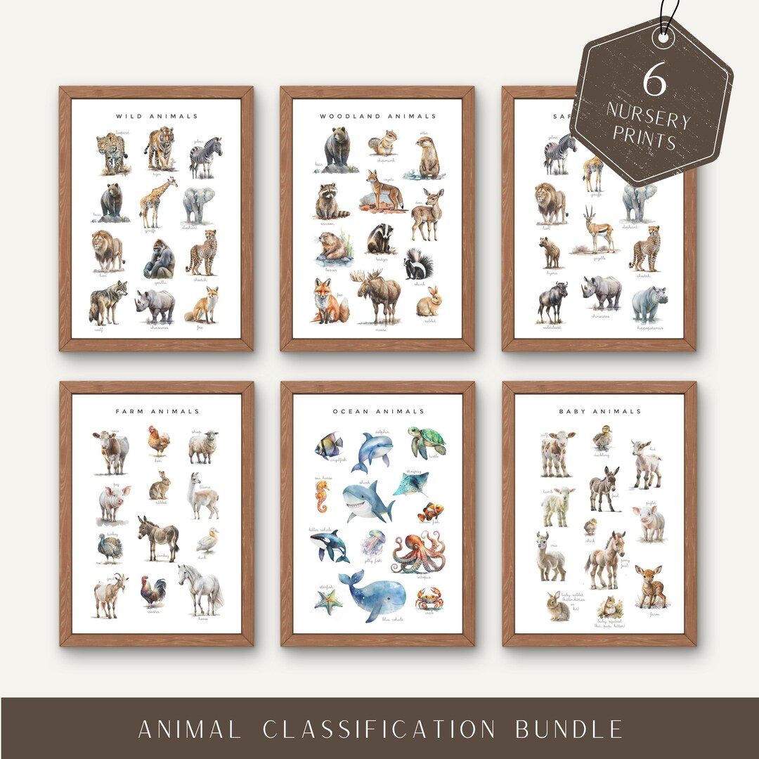 6 Animal Classification Education Poster. Classroom Nursery Wall Decor ...