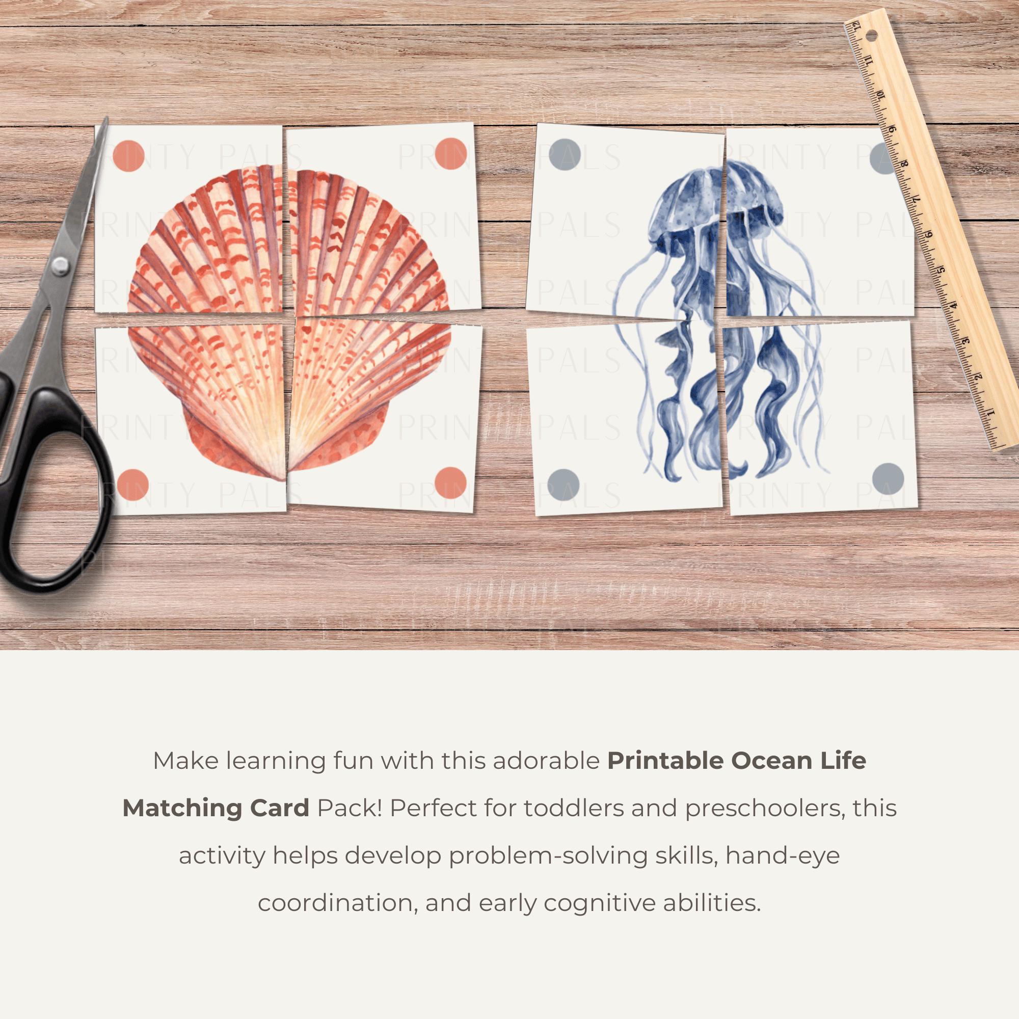 12 Ocean Life Matching Cards, Printable Watercolor Ocean Life Puzzles ...