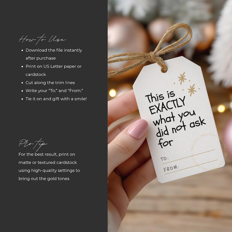 Funny Printable Gift Tag: Sarcastic Humor Present Labels (set of 12) - Etsy