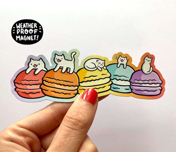 Rainbow Macaroon Cats Magnet Pastel Rainbow Magnet - Etsy