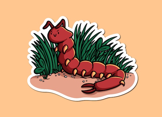 Centipede Vinyl Sticker Cute Bug Sticker Insects Sticker | Etsy
