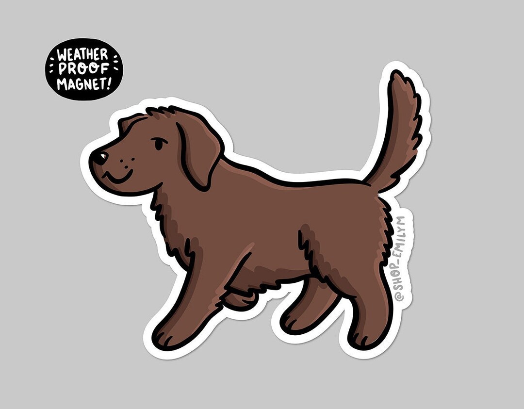 Chocolate Labrador Retreiver Magnet | Cute Dog Magnet| Chocolate Lab ...