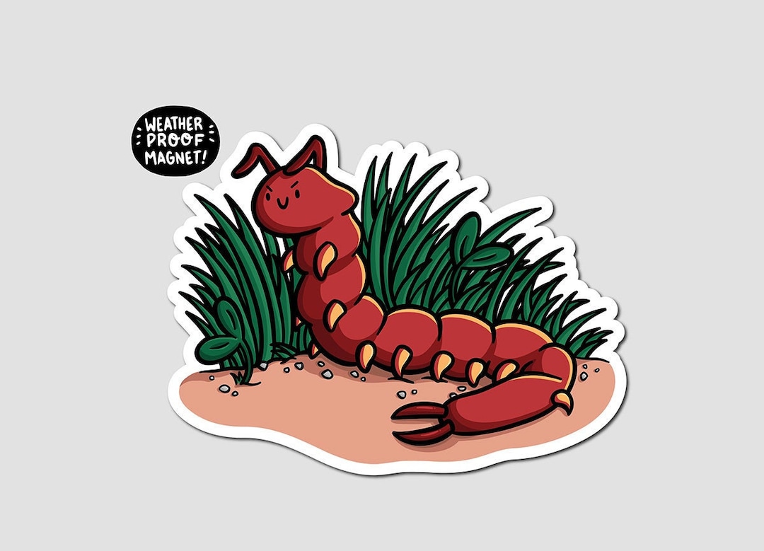 Centipede Magnet | Cute Bug Magnet | Waterproof Vinyl Car Magnet ...