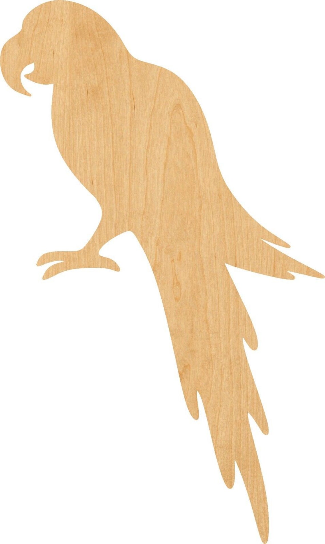 Parrot Wooden Laser Cut Out Shape Great for Crafting - Etsy