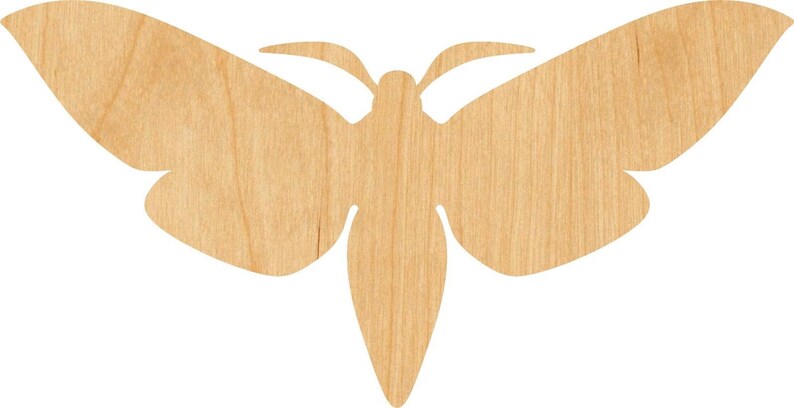 Moth Wooden Laser Cut Out Shape Great for Crafting | Etsy