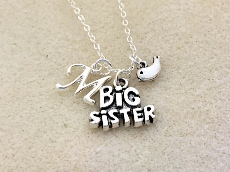 Personalized Big Sister Gift From New Baby Announcement Future Big ...