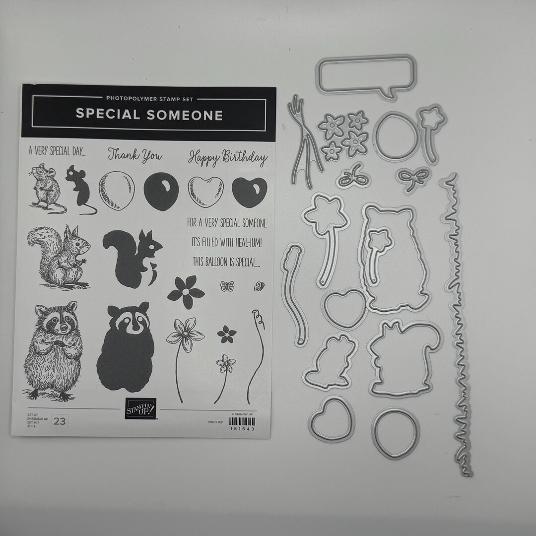 Stampin Up! Special Someone Stamp Set & Dies - Etsy