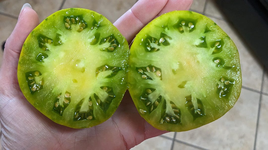 Malachite Box Tomato - Etsy