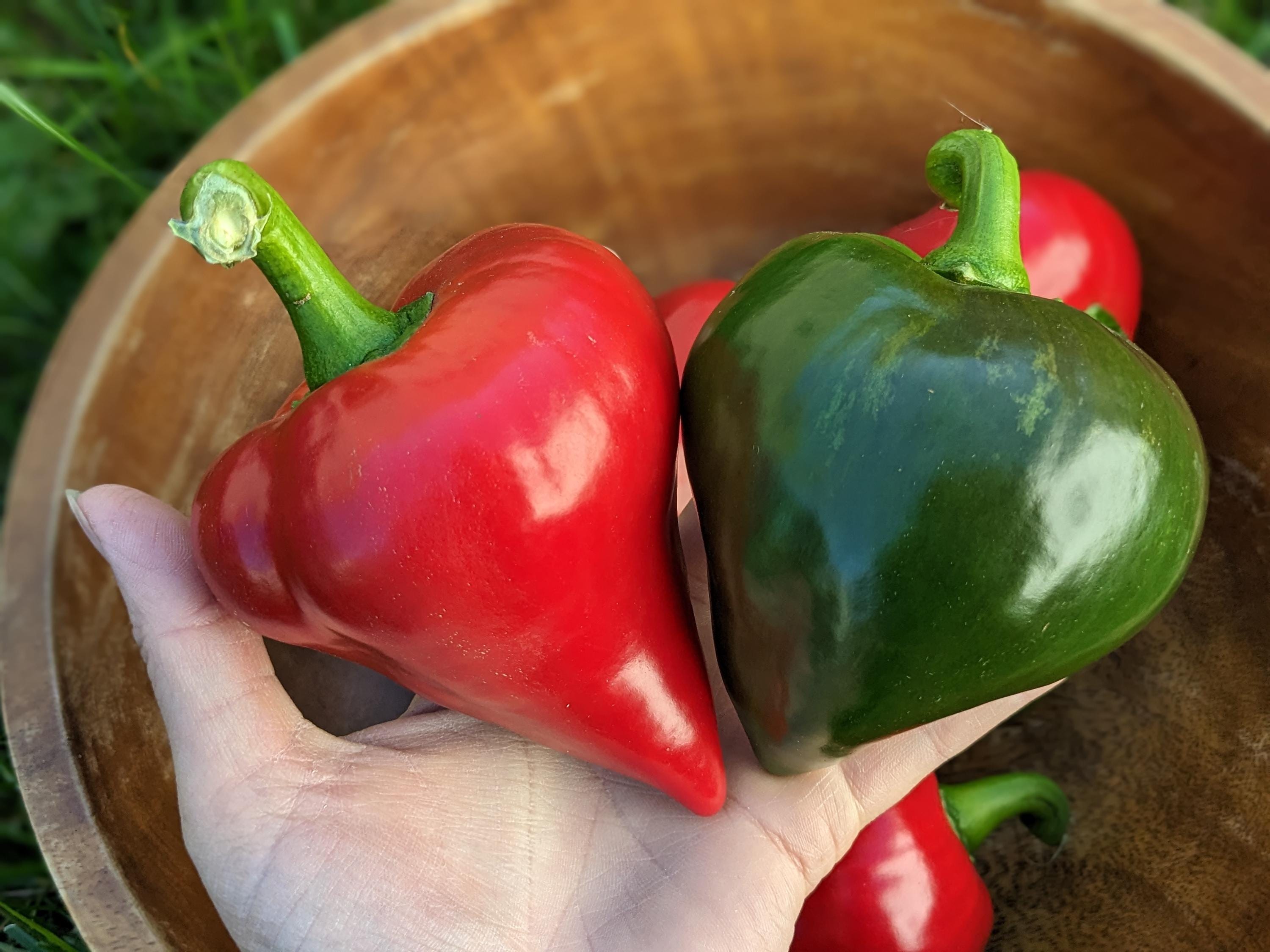 Lesya Sweet Red Pepper - Etsy