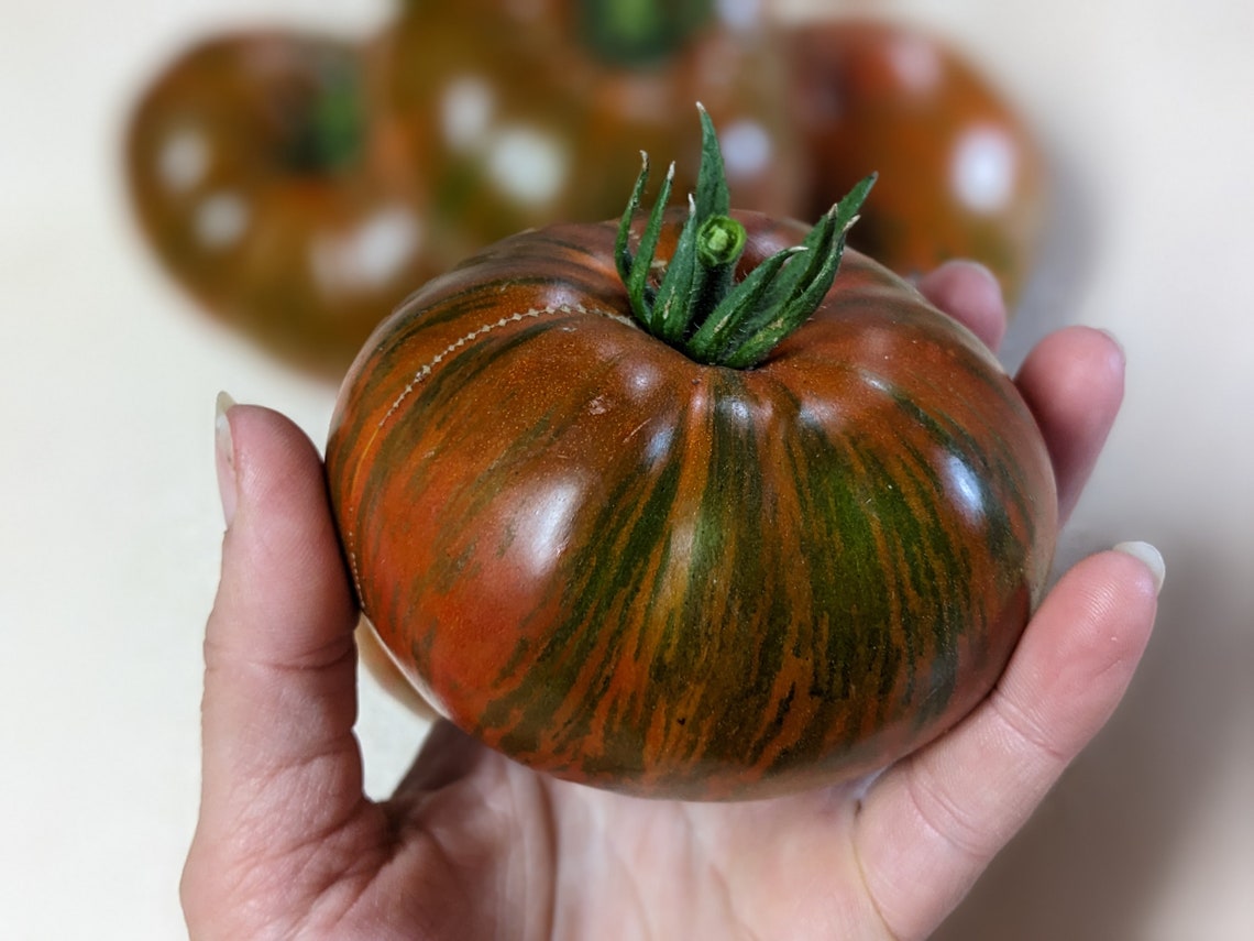 Girl Girl's Weird Thing Tomato - Etsy