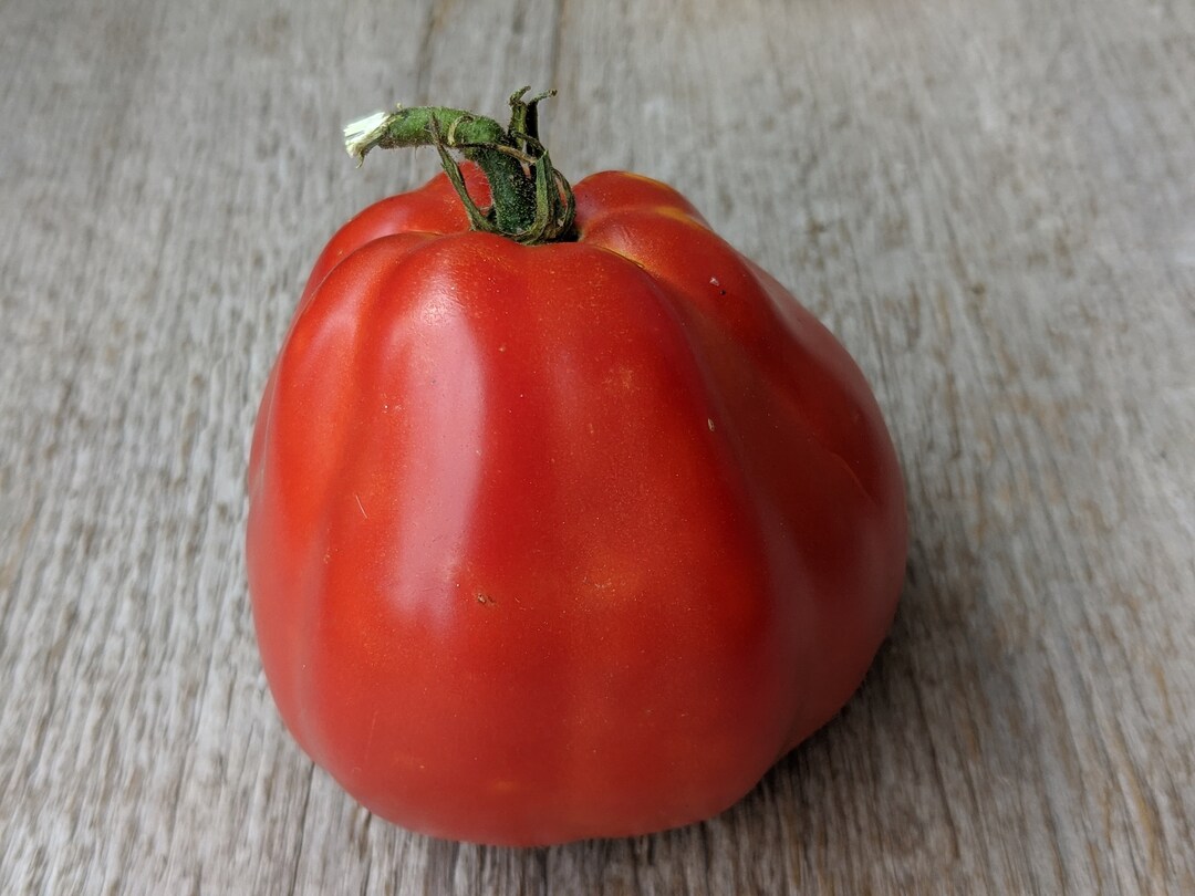 Granny's Throwing Tomato - Etsy