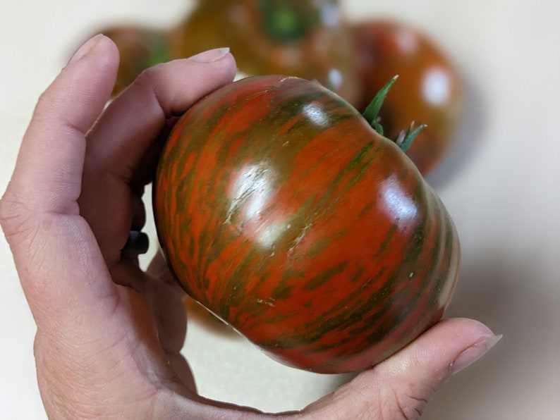 Girl Girl's Weird Thing Tomato - Etsy