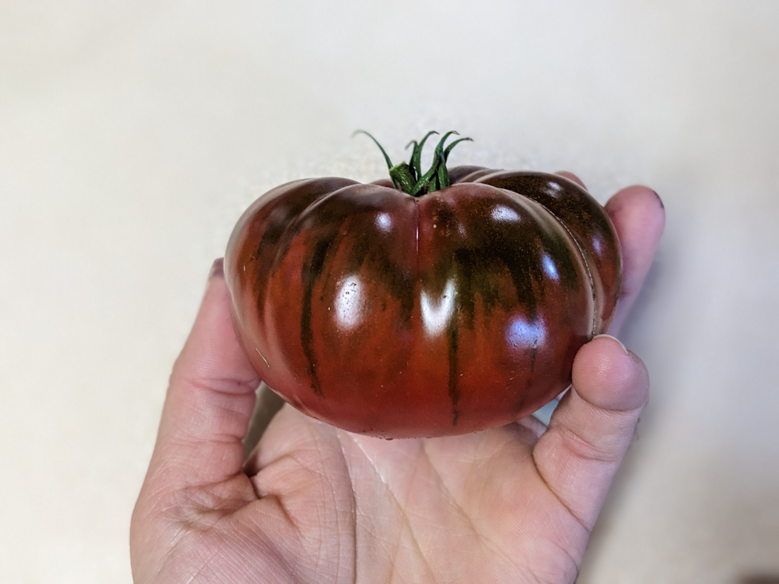 Abraham Brown Tomato - Etsy