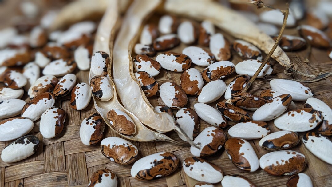 Dlouha Pulena Ze Smolijanu Pole Bean - Etsy