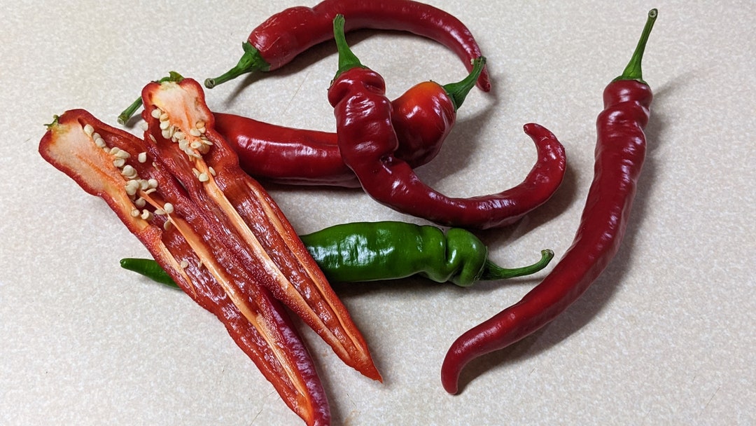 Jimmy Nardello Sweet Pepper - Etsy