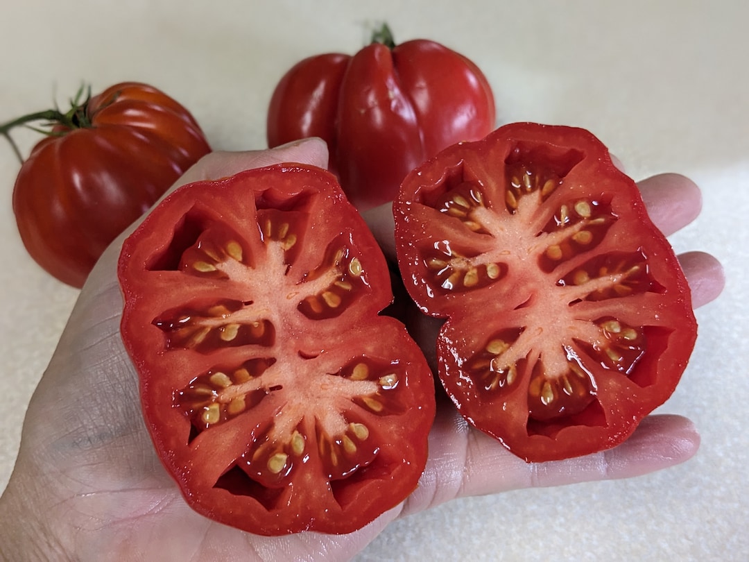 Charlie Chaplin Tomato - Etsy