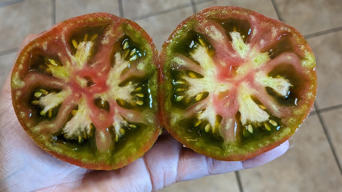 Dwarf Shimmering Beauty Tomato - Etsy