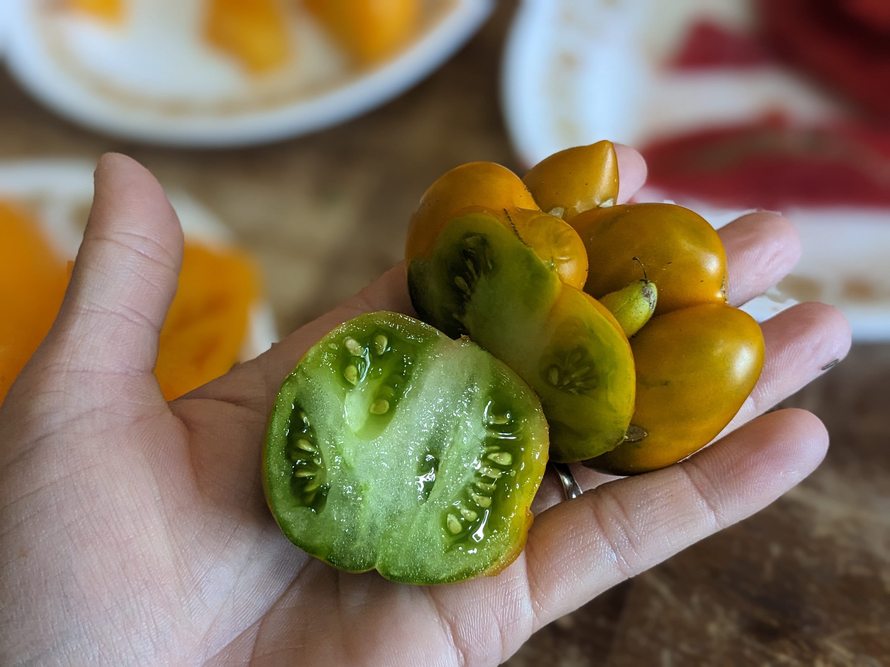 Phil's Two Tomato - Etsy